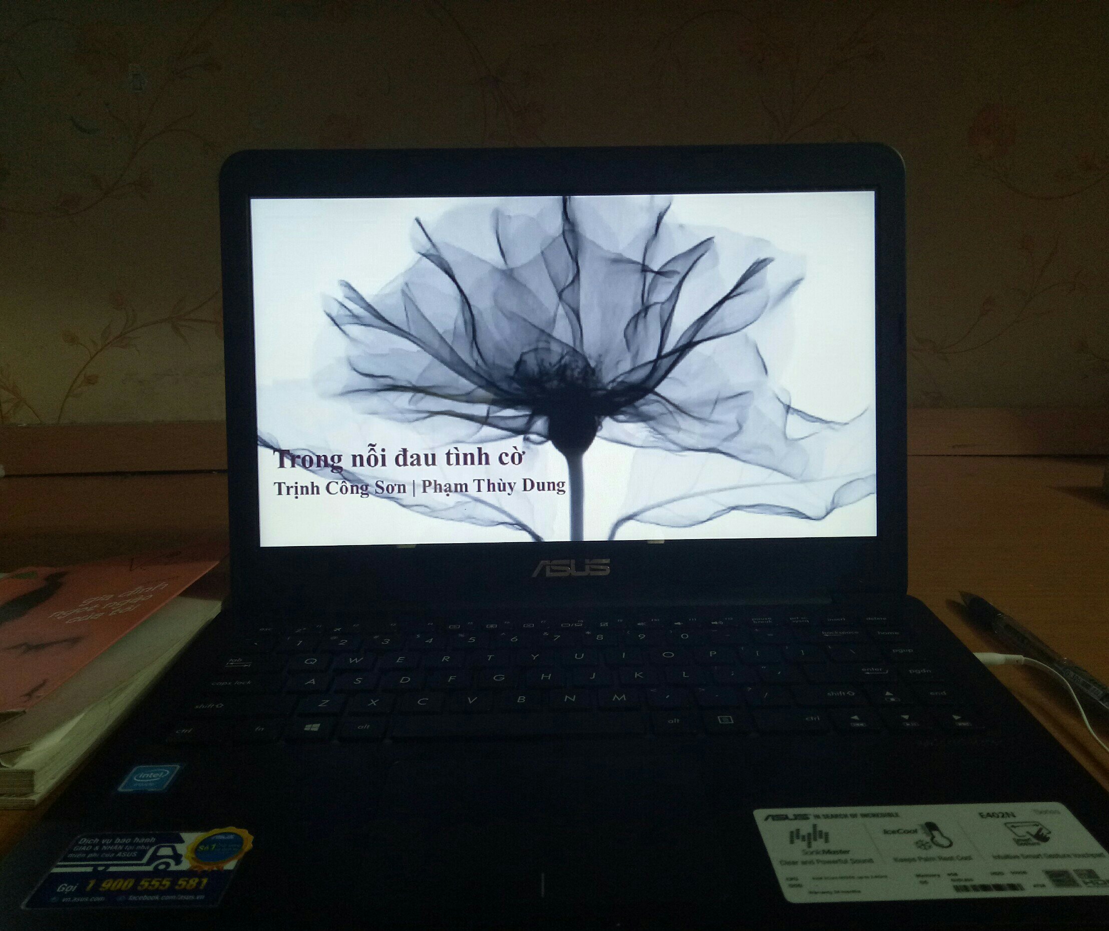 Trong nỗi đau tình cờ | Winlinh