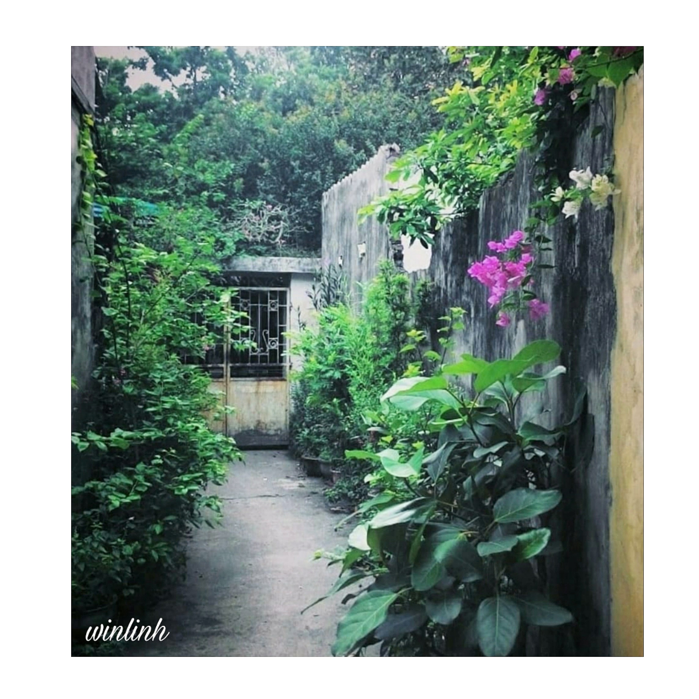 Ngày… tháng… năm | Winlinh