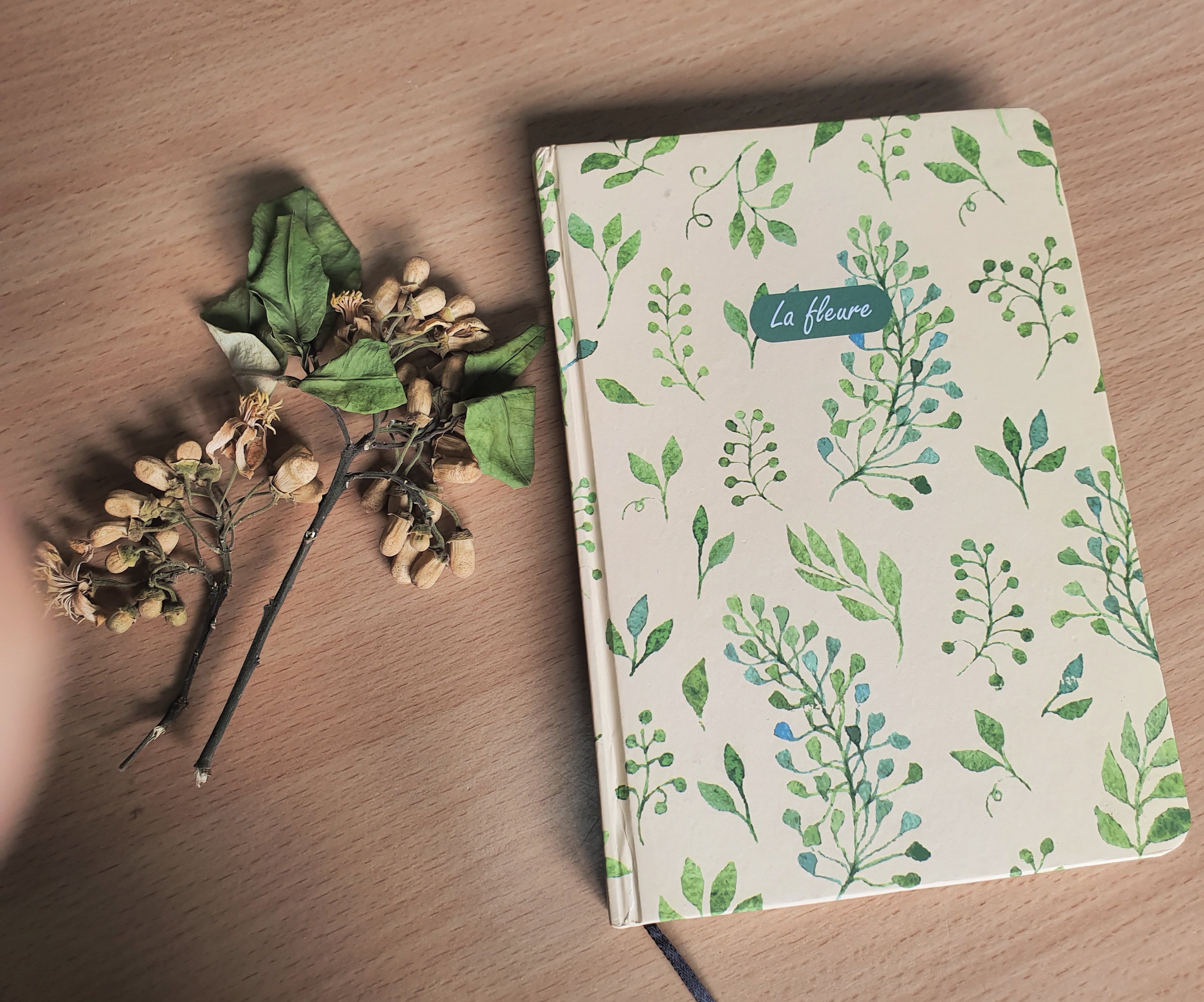 Một câu chuyện buồn | Winlinh