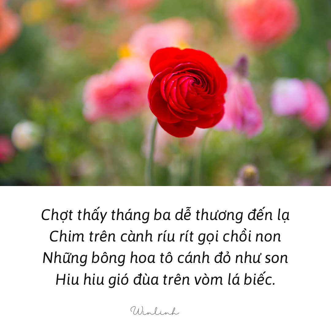 Tháng Ba | Winlinh