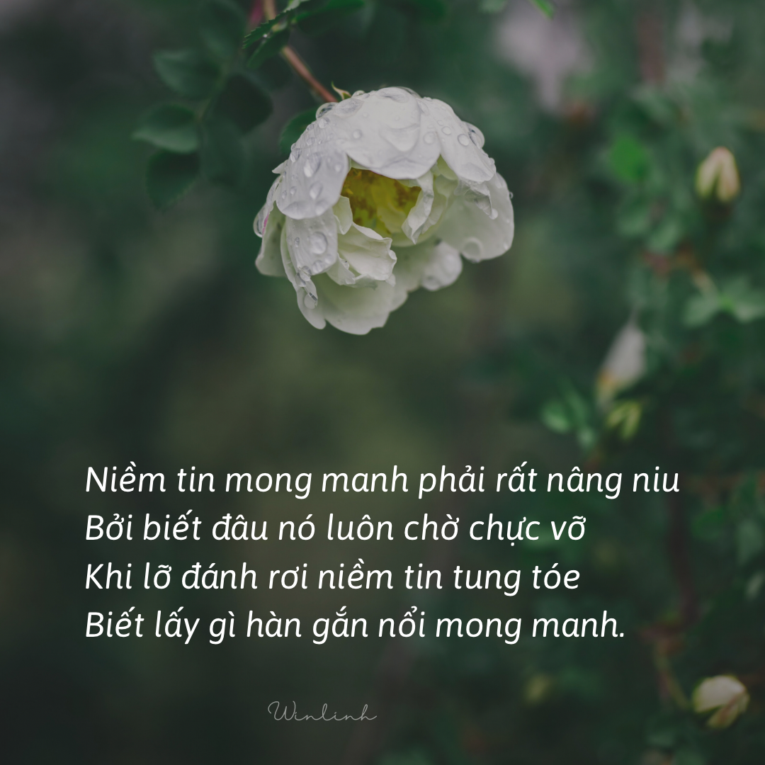 Ngắm mây trắng chiều nay | Winlinh