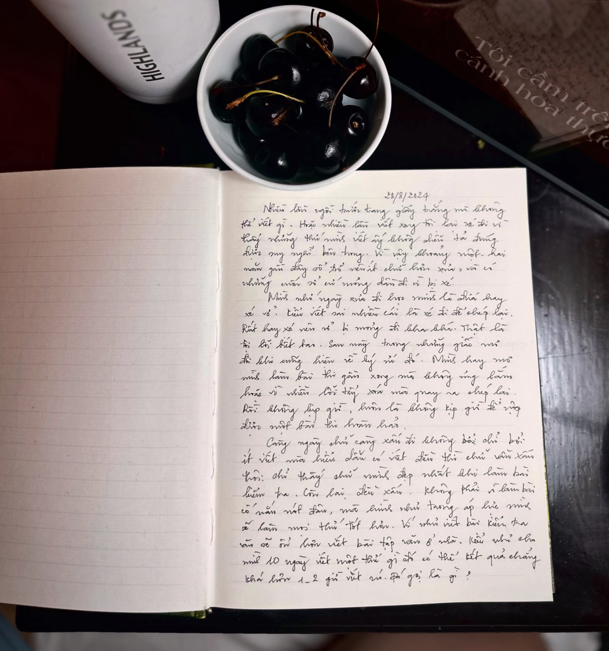 Nhật ký viết tay | Winlinh