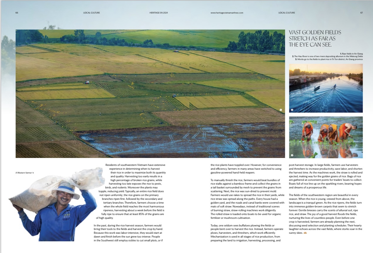 Mùa vàng Tây Nam Bộ | Winlinh